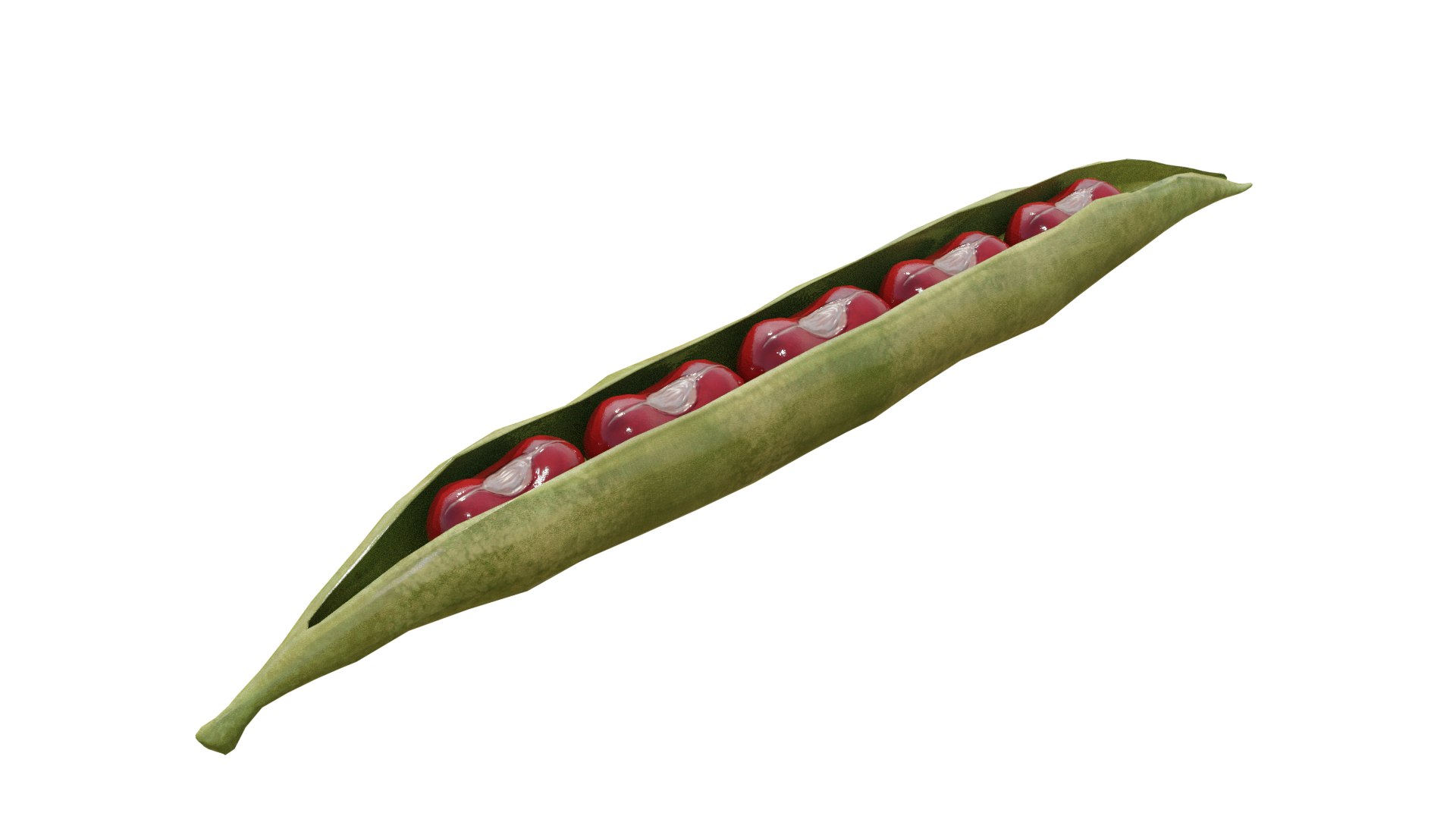 3D Beans Model - TurboSquid 1927231