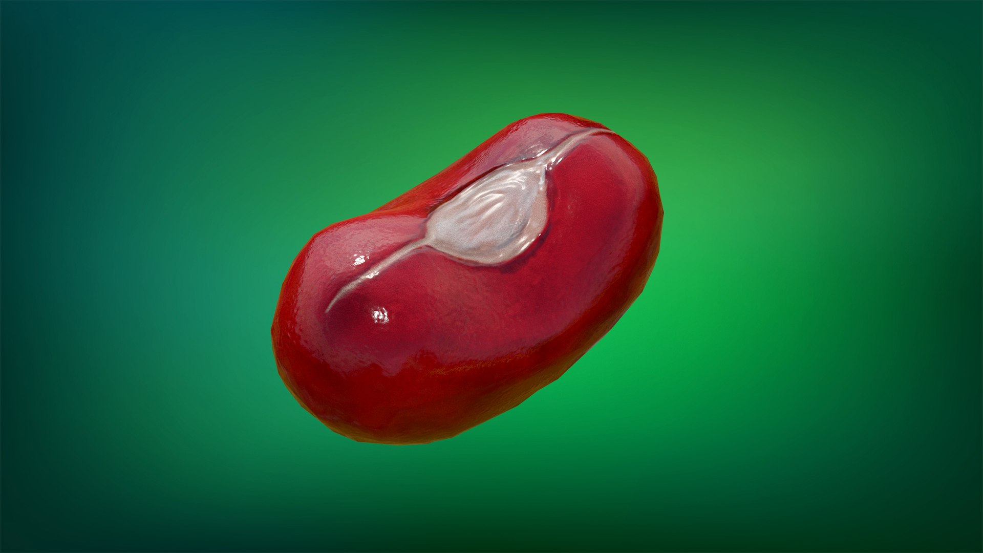 3D Beans Model - TurboSquid 1927231
