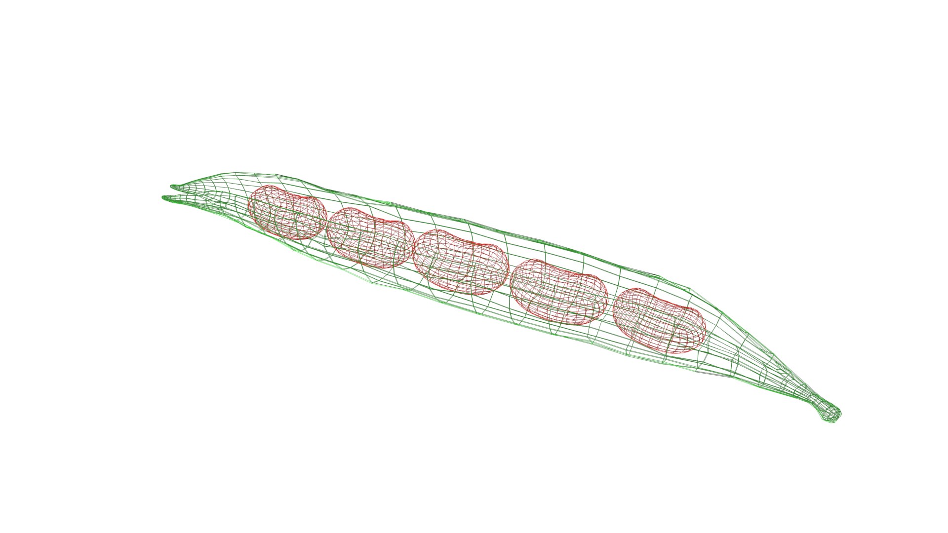 3D Beans Model - TurboSquid 1927231