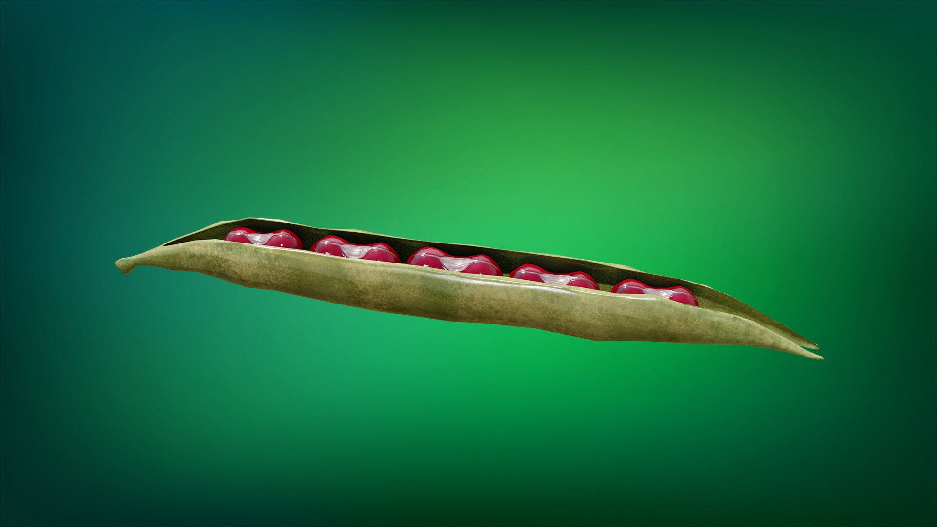 3D Beans Model - TurboSquid 1927231