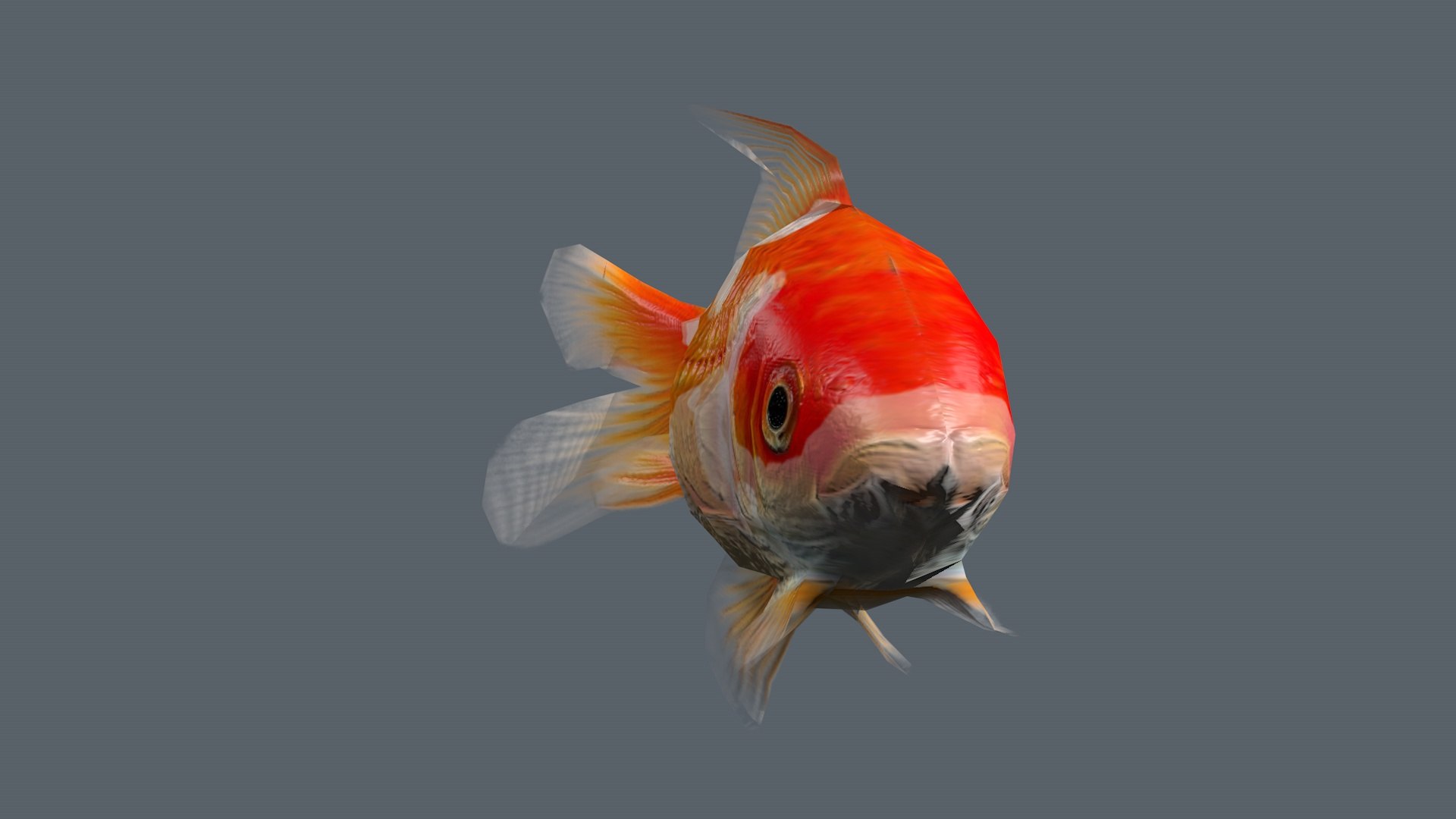 Goldfish Animation 3D Model - TurboSquid 1584964