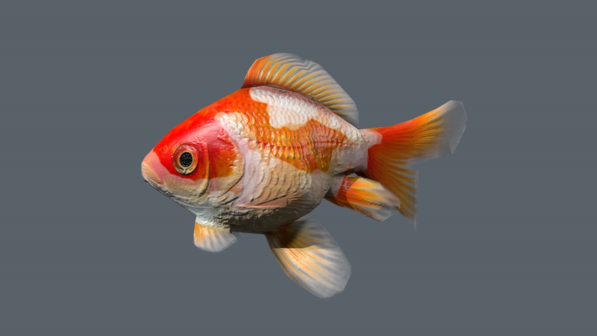 Goldfish Animation 3D Model - TurboSquid 1584964