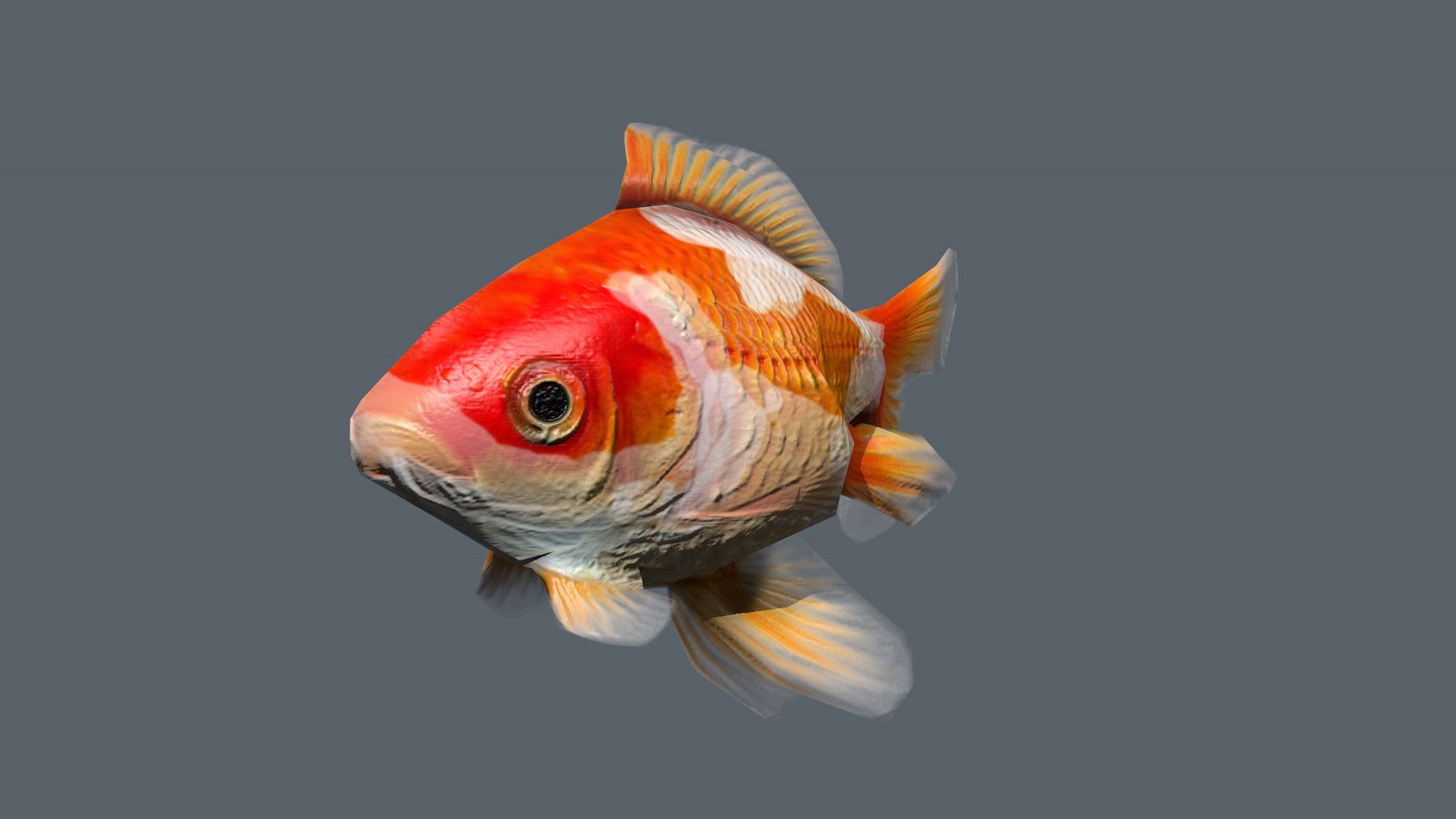 Goldfish Animation 3D Model - TurboSquid 1584964
