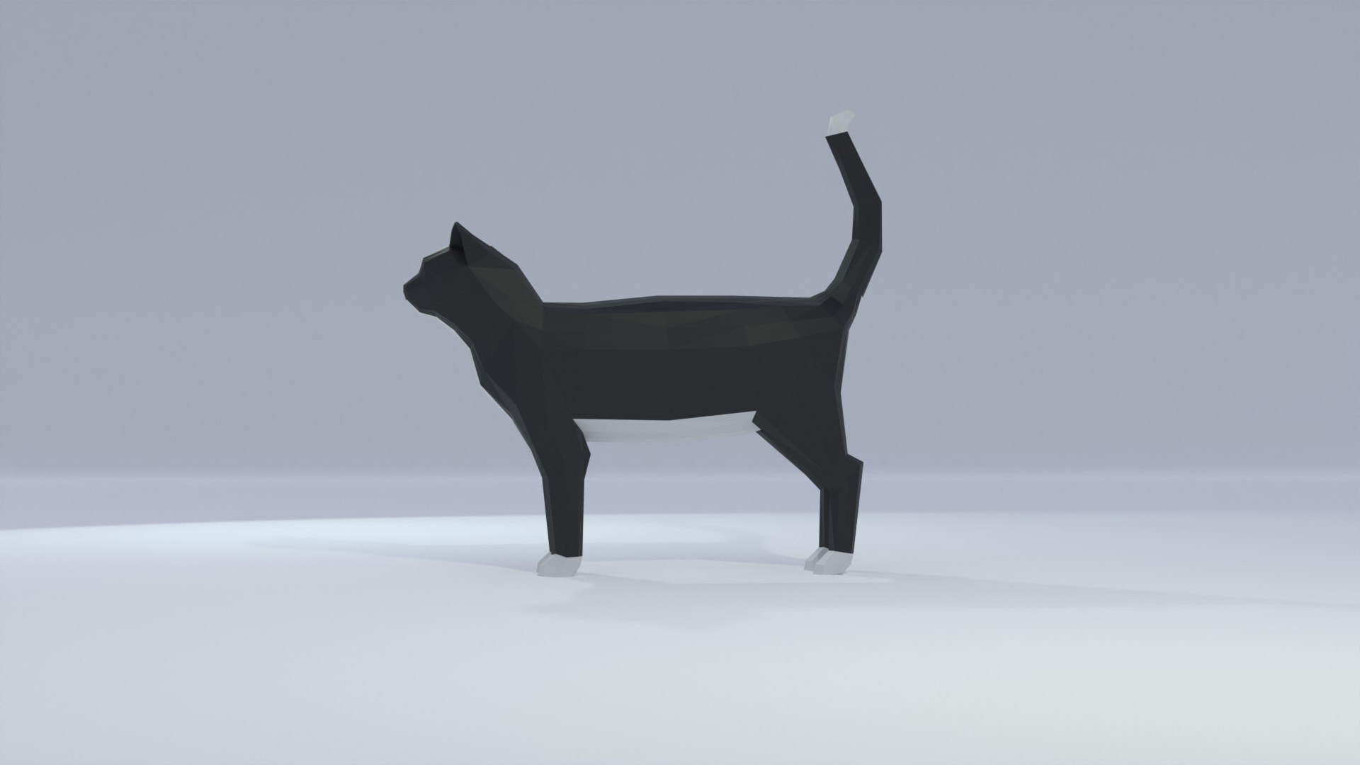 3D Low Poly Cat - TurboSquid 1990338