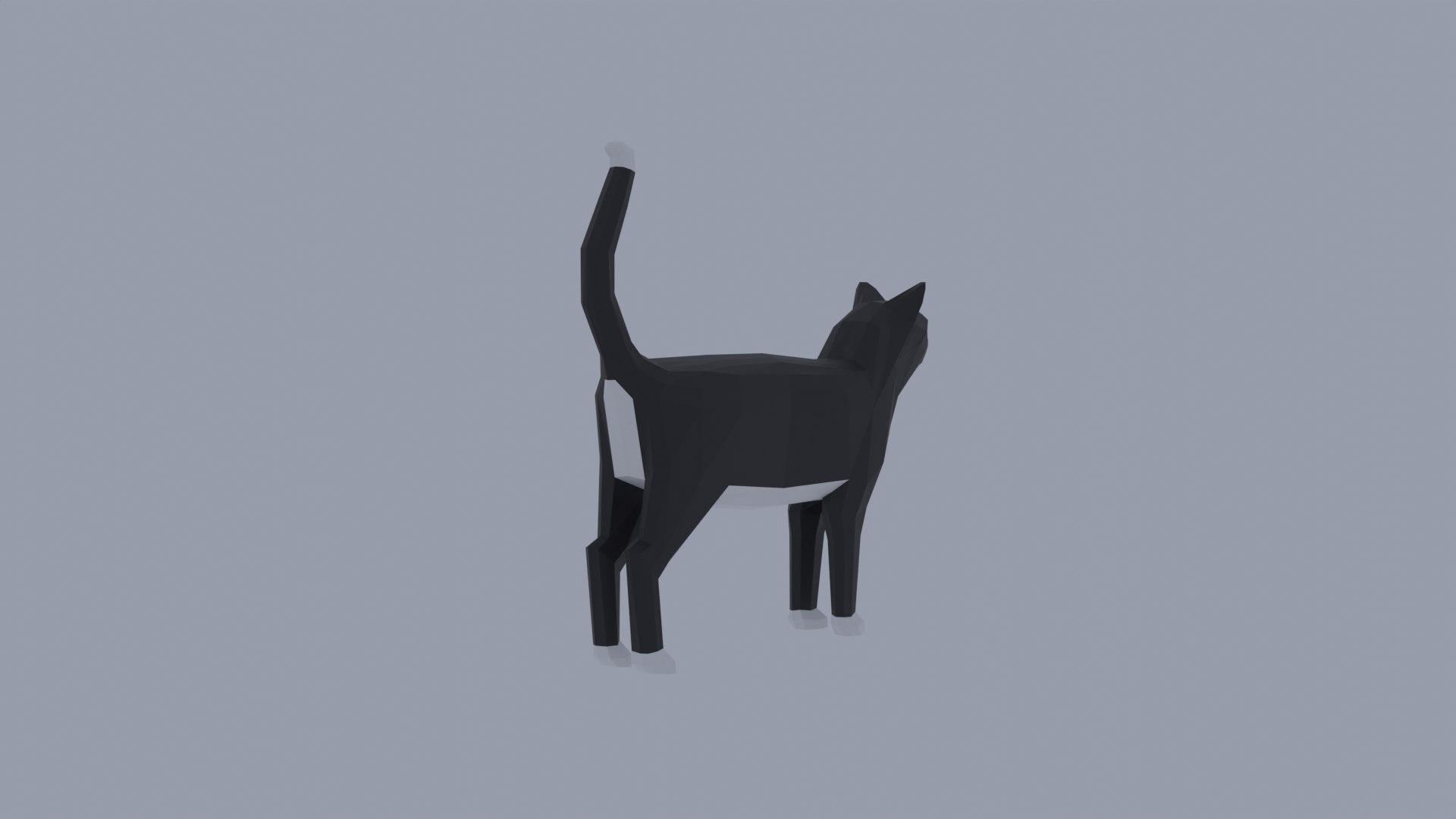 3D Low Poly Cat - TurboSquid 1990338