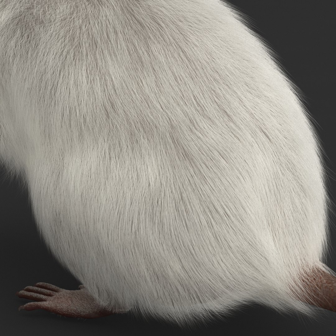 Max