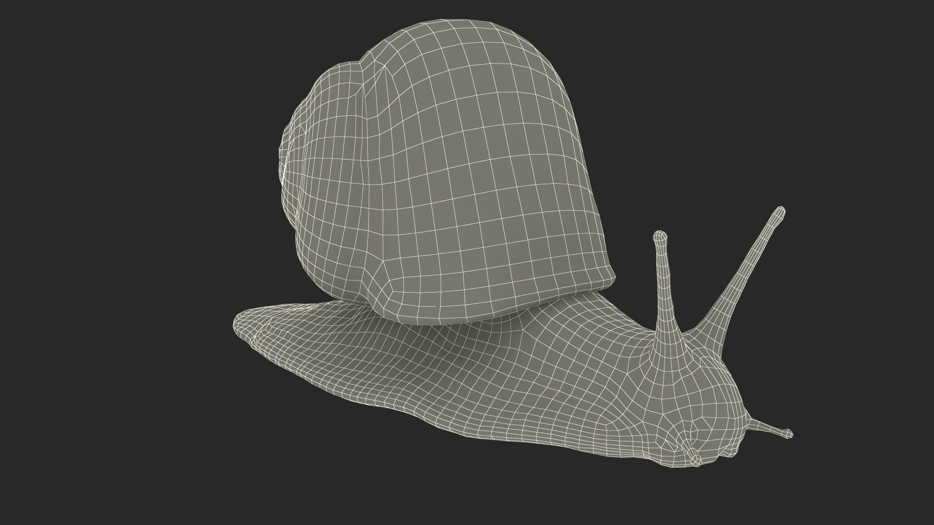 3D Garden Snail Dark Color Rigged - TurboSquid 2191792