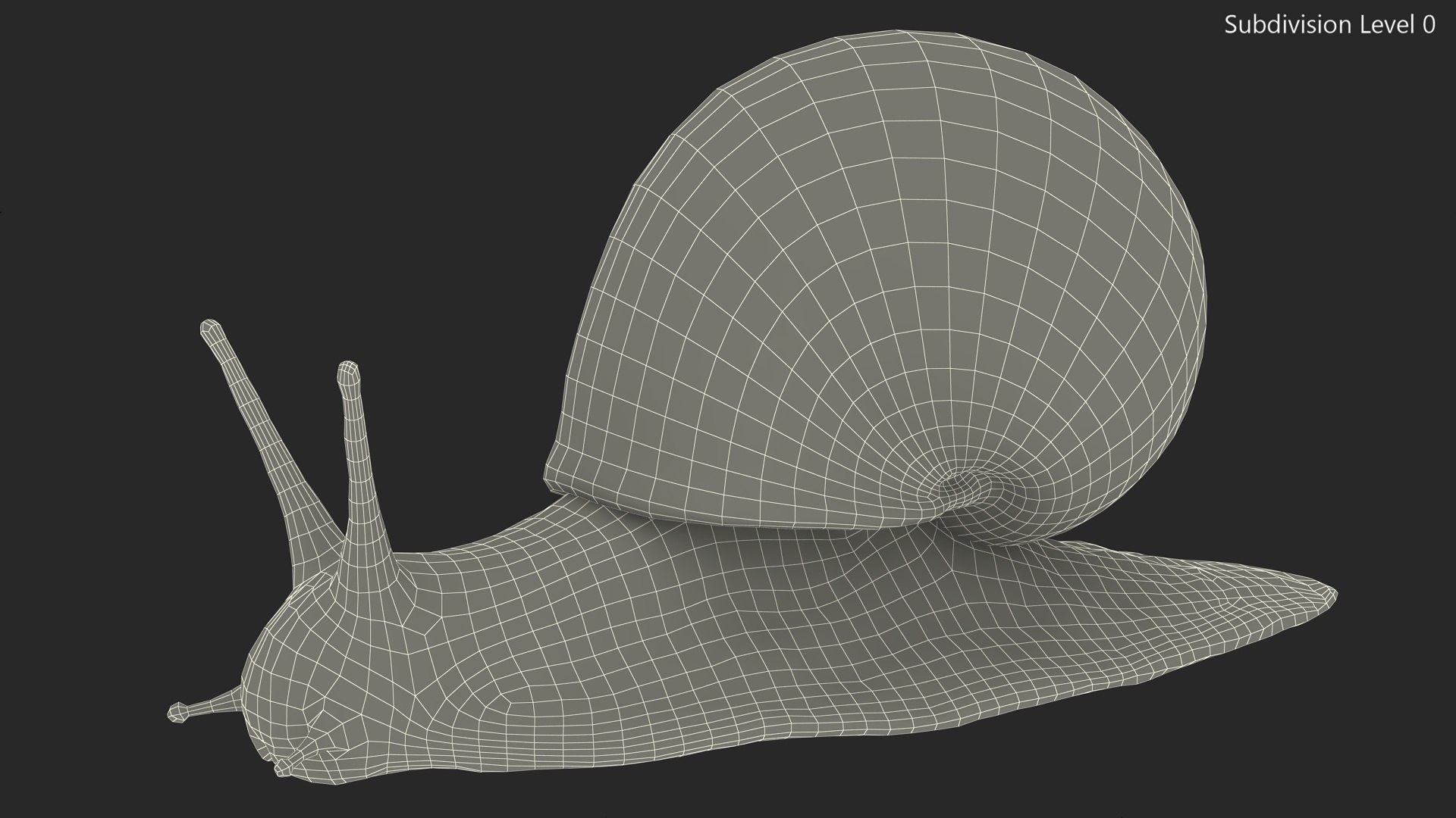 3D Garden Snail Dark Color Rigged - TurboSquid 2191792