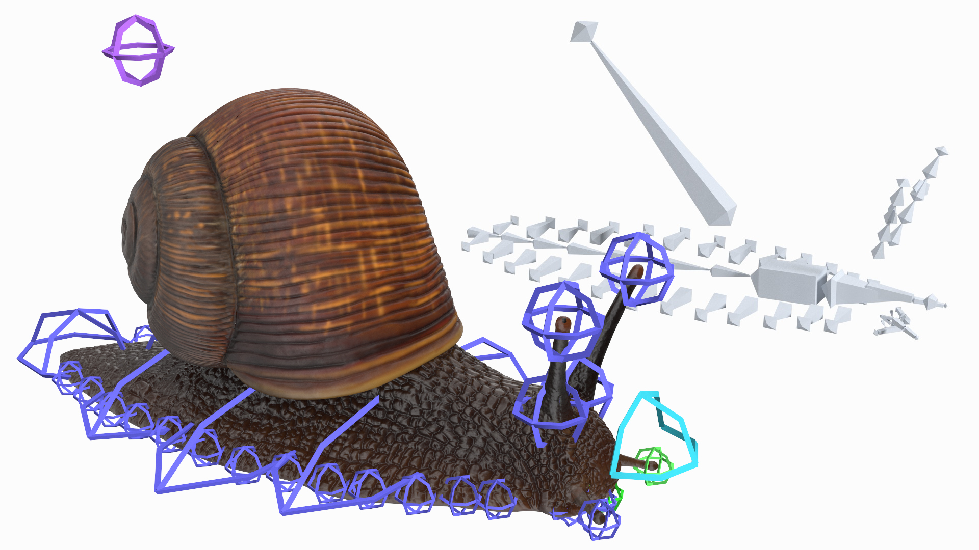 3D Garden Snail Dark Color Rigged - TurboSquid 2191792