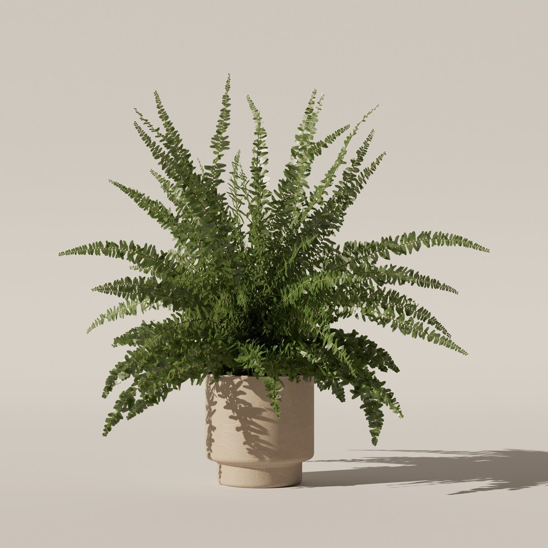 Fern In Modern Flower Pot 3D - TurboSquid 2185776