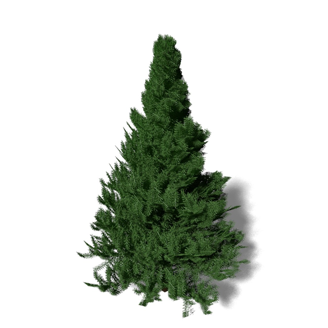 3d Pine Tree Model