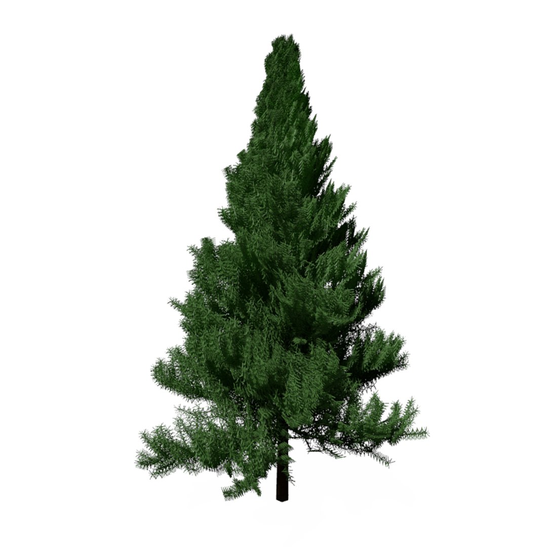 3d Pine Tree Model