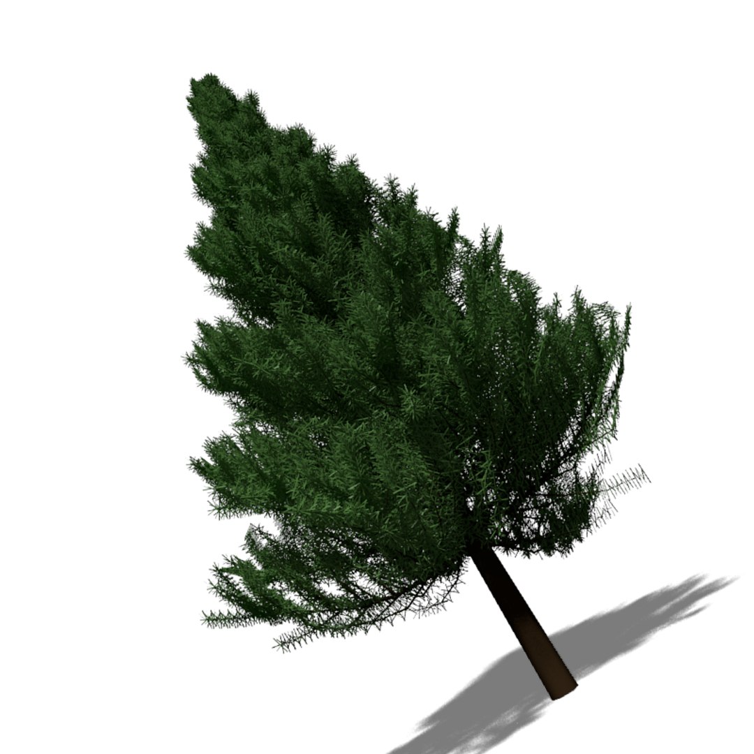 3d pine tree model