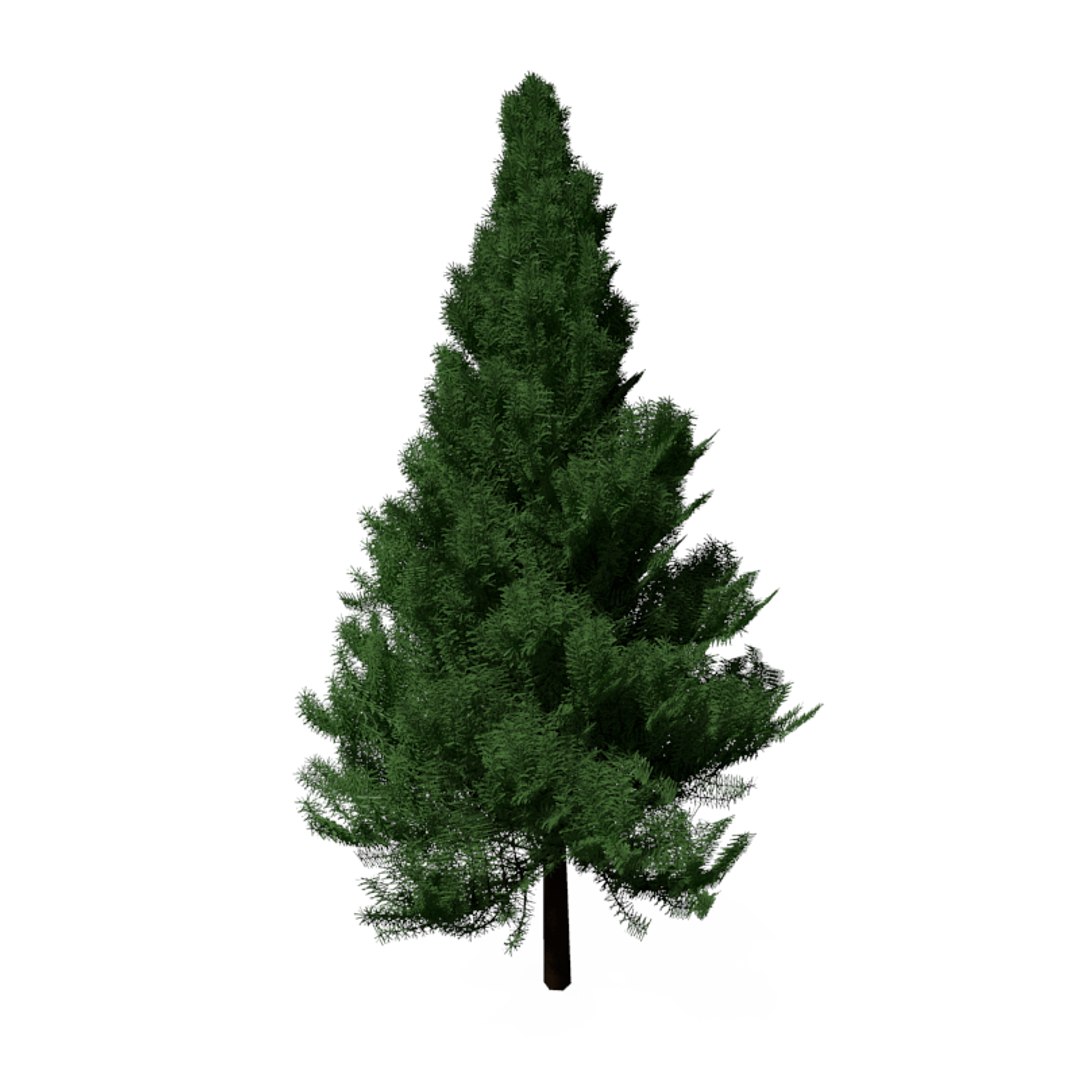 3d Pine Tree Model