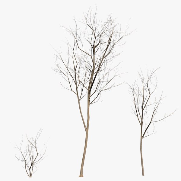 Snow Tree Blender Models for Download | TurboSquid