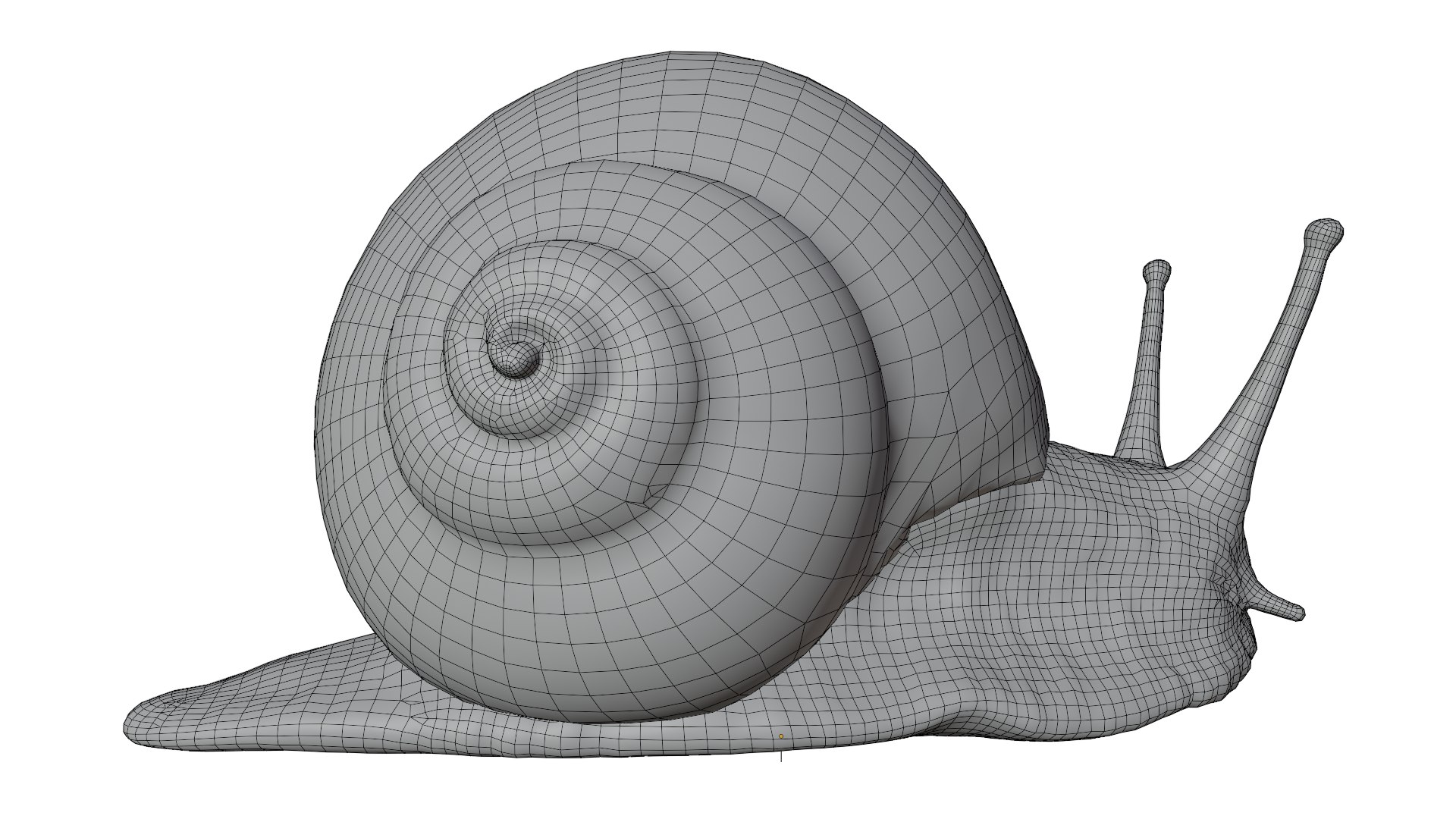 3D Snail - TurboSquid 2189500