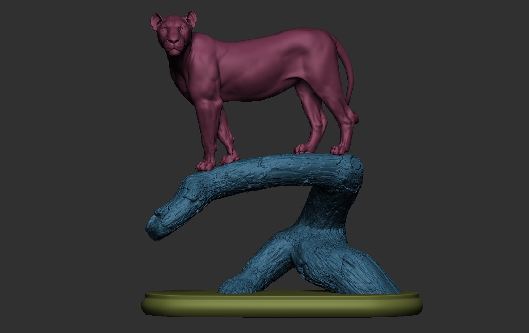 Lioness 3D Model - TurboSquid 2318641