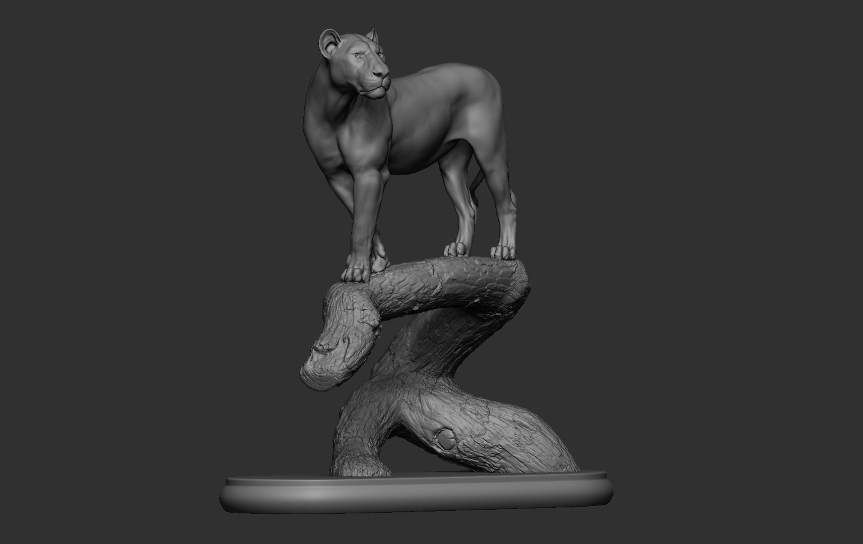 Lioness 3D Model - TurboSquid 2318641