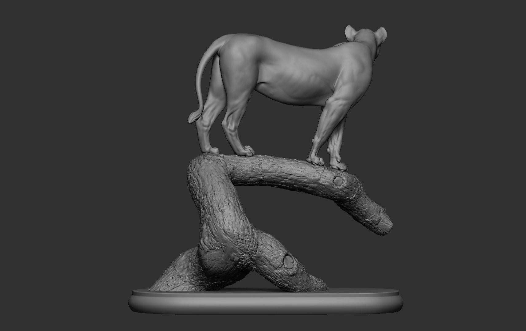 Lioness 3D Model - TurboSquid 2318641