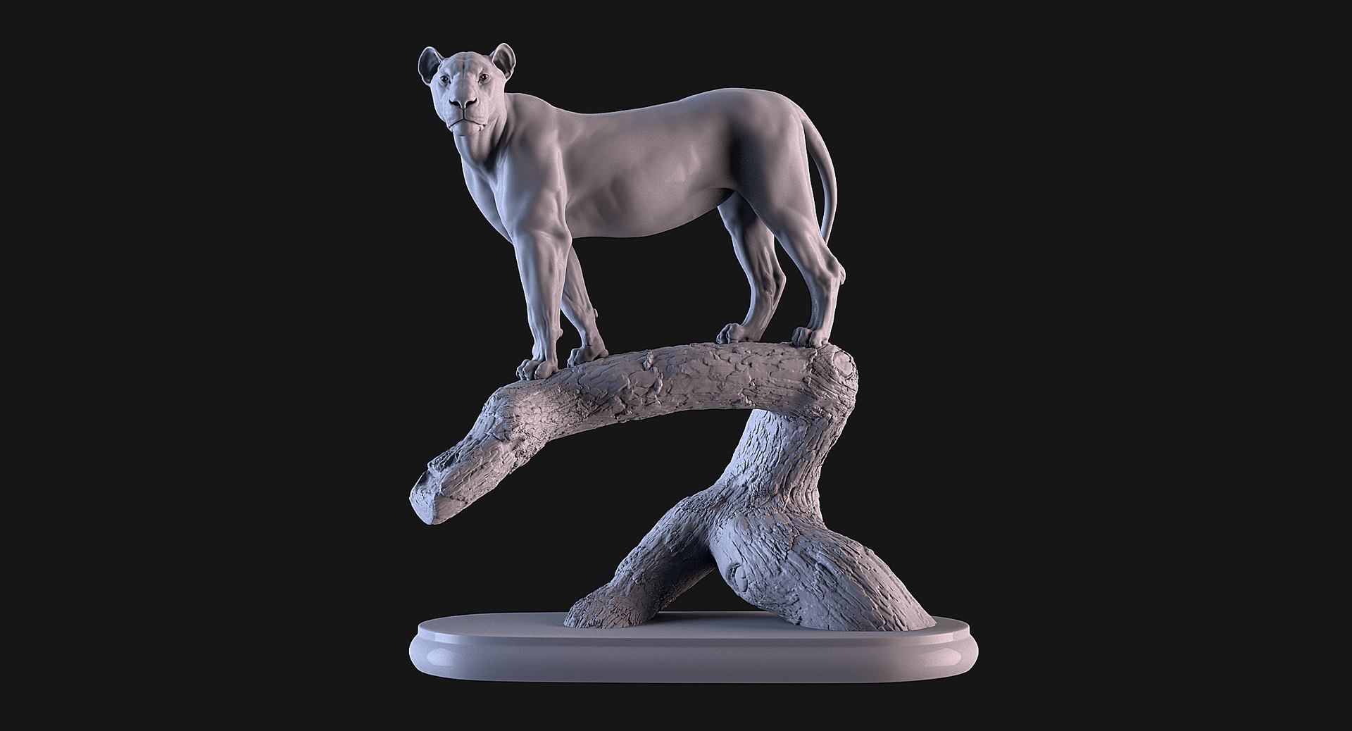 Lioness 3D Model - TurboSquid 2318641