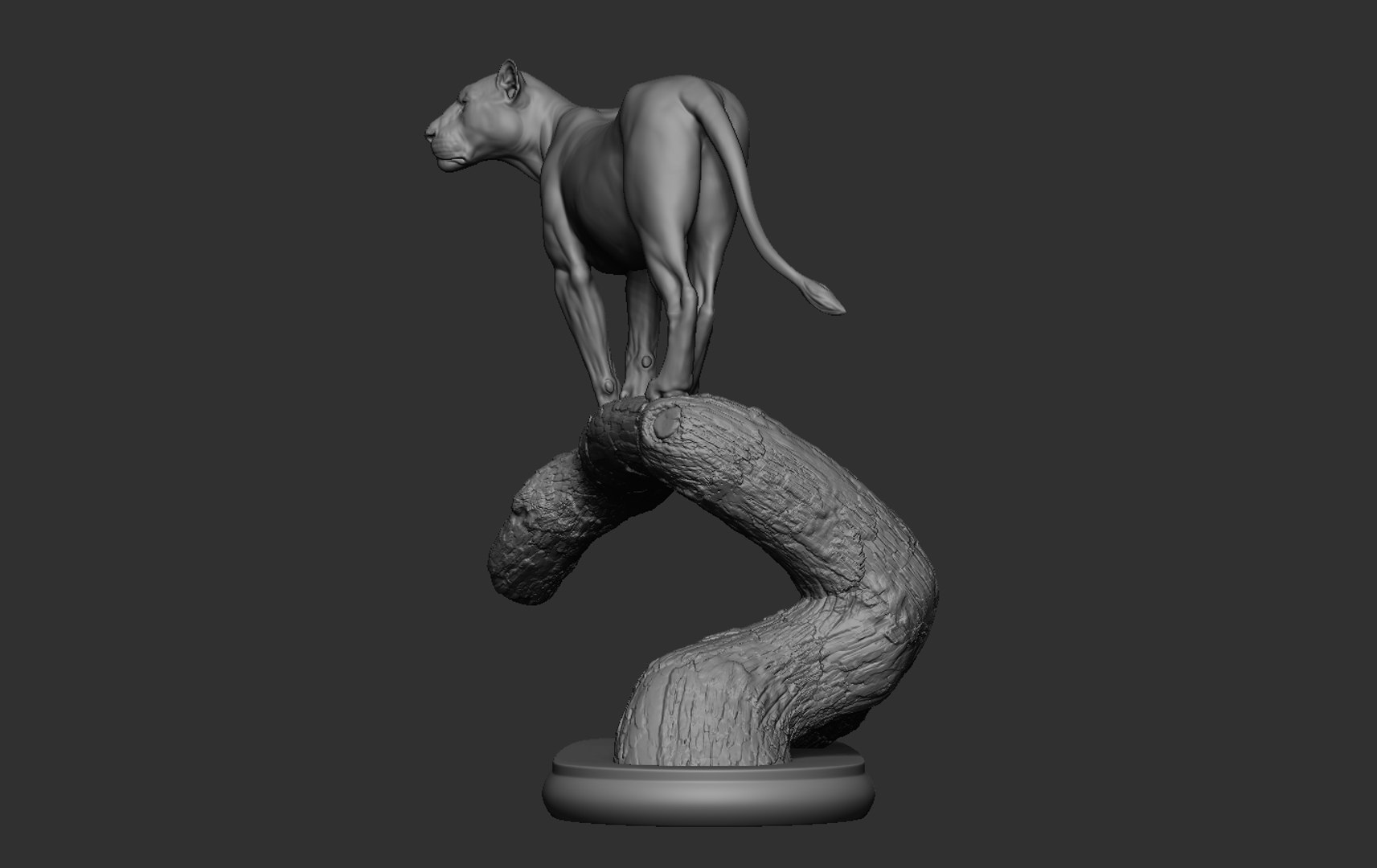 Lioness 3D Model - TurboSquid 2318641