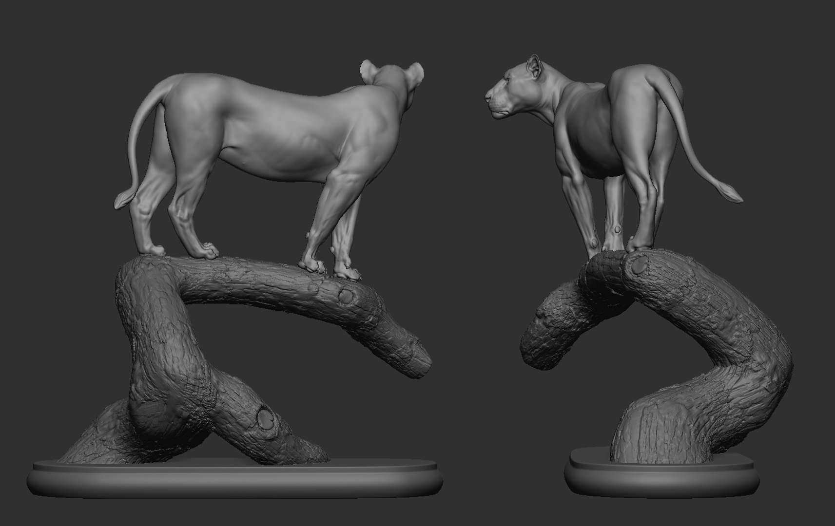 Lioness 3D Model - TurboSquid 2318641