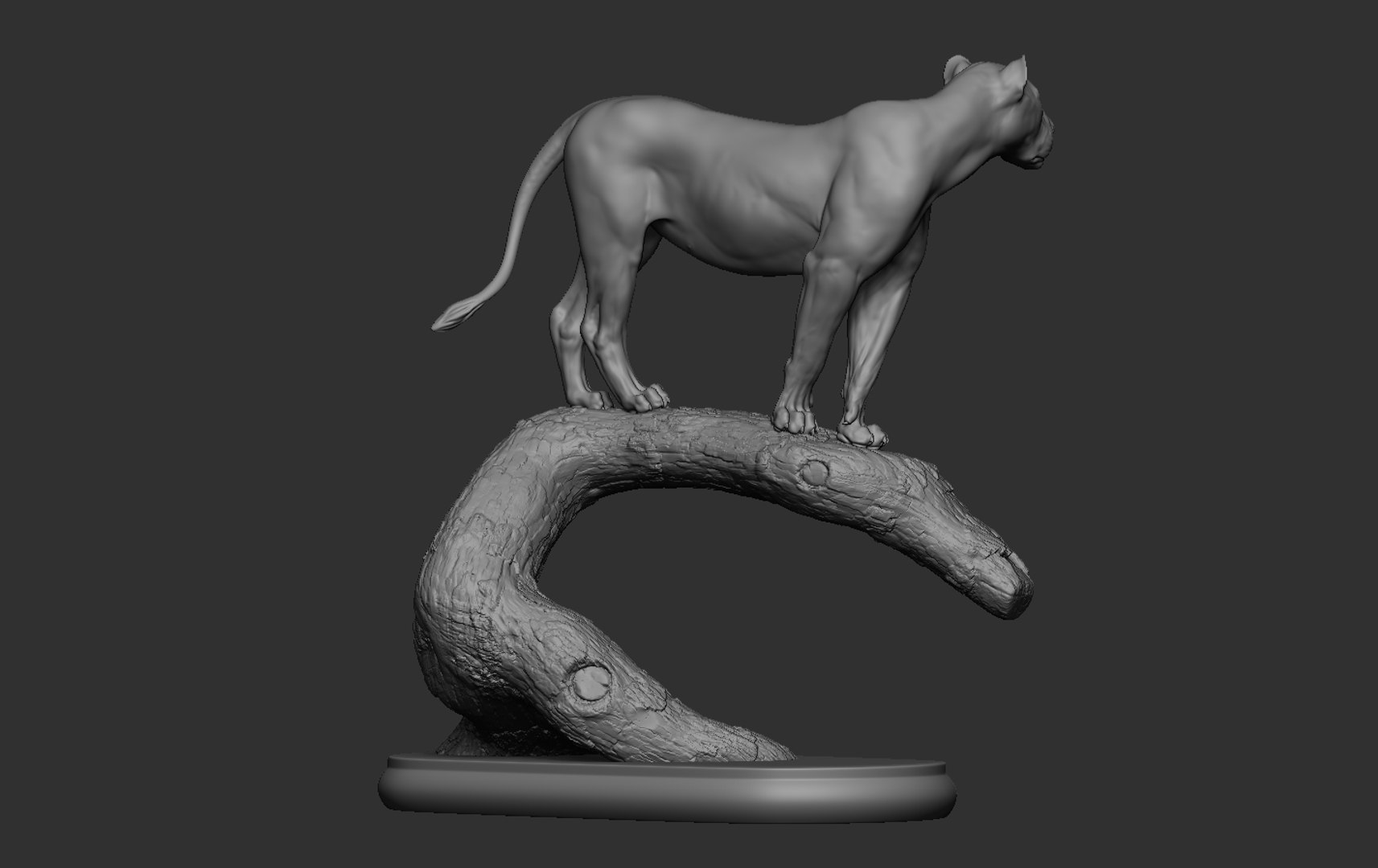 Lioness 3D Model - TurboSquid 2318641