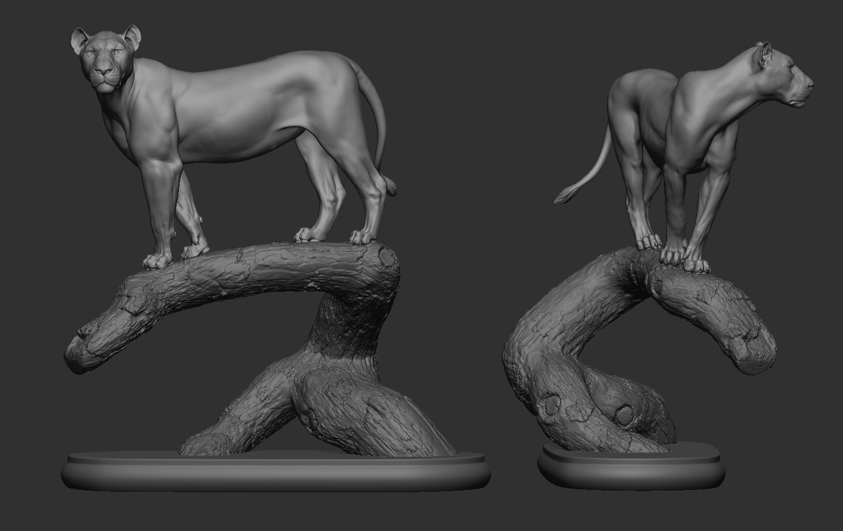 Lioness 3D Model - TurboSquid 2318641