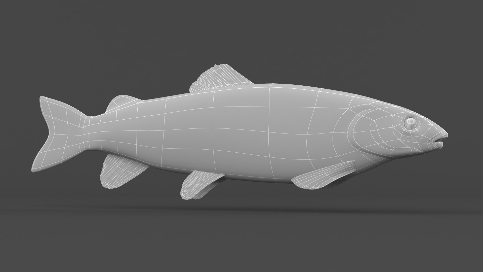 Fish Lenok Model - TurboSquid 2161553