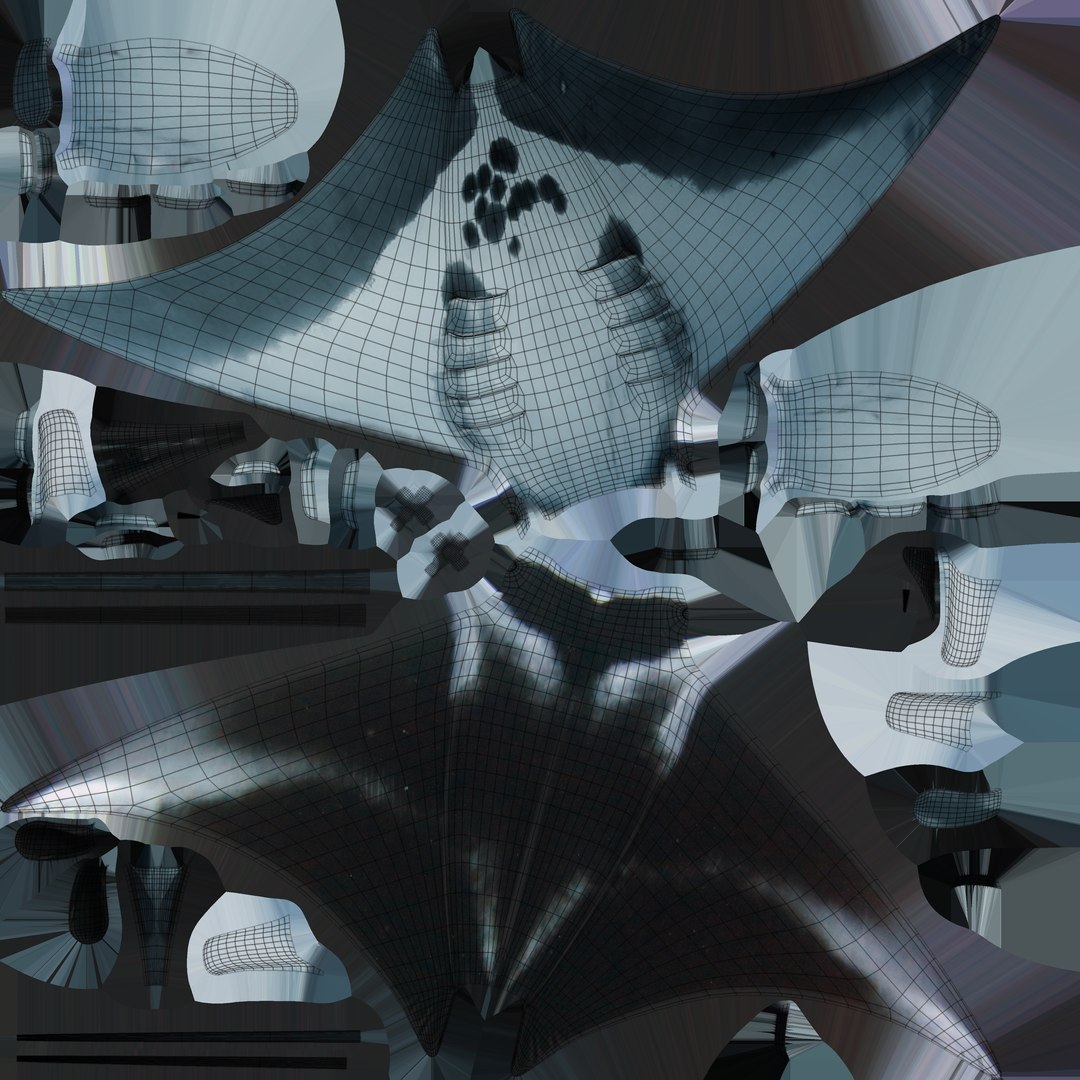 Manta Pbr 3D Model - TurboSquid 1350096