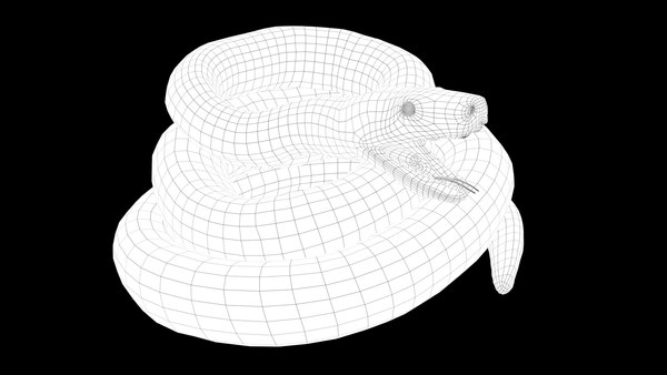 modelo 3d Pitón birmano aparejado animado - TurboSquid 1727103