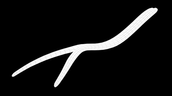 Burmese Python Rigged Animated 3D model - TurboSquid 1727103