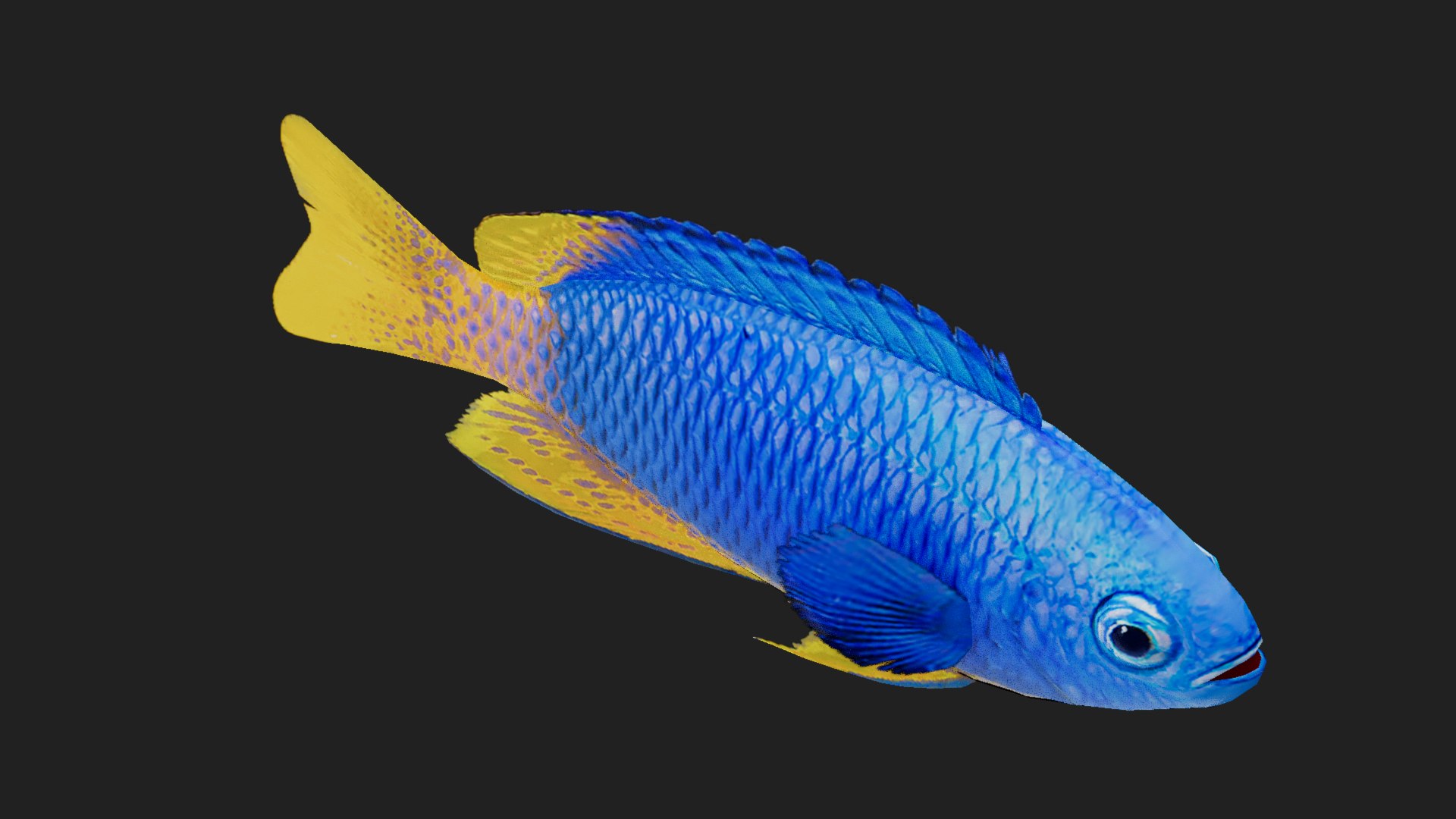 3D Model Snapper - TurboSquid 2122919