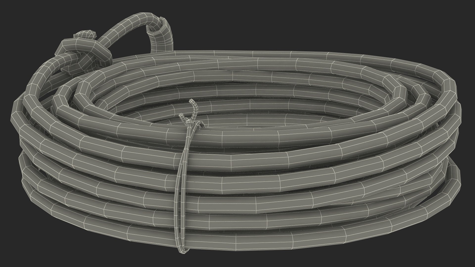 3D Rodeo Lasso Rope Folded - TurboSquid 2160940