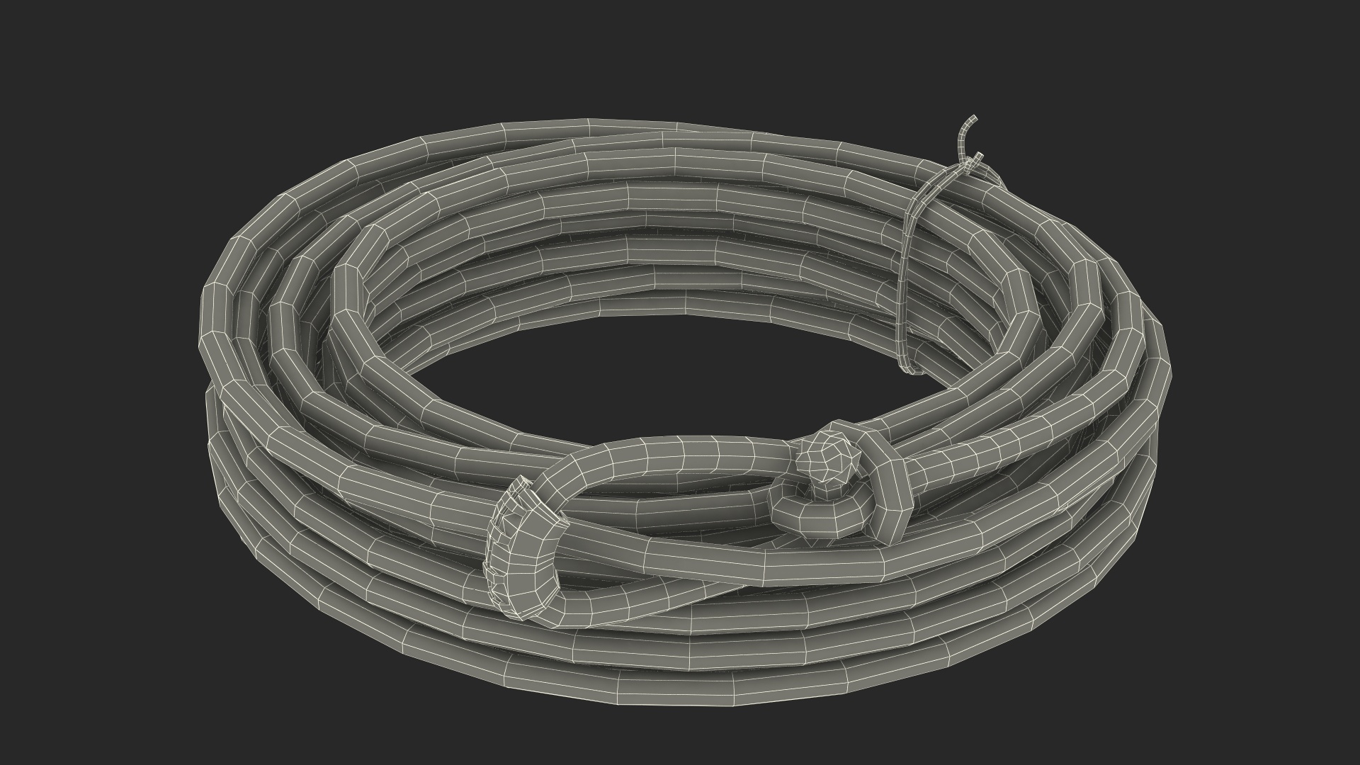 3D Rodeo Lasso Rope Folded - TurboSquid 2160940