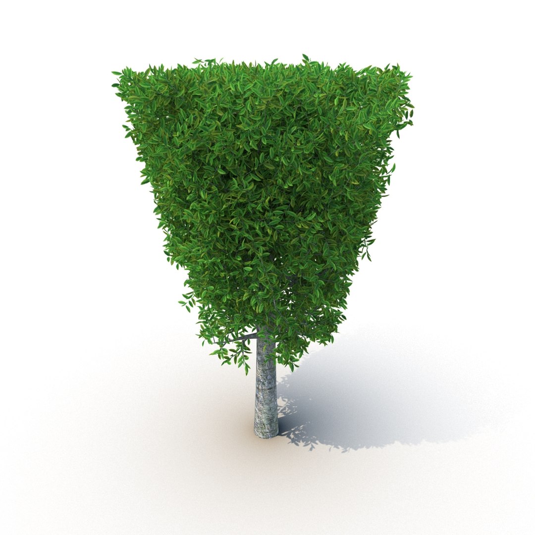 tree 3d obj
