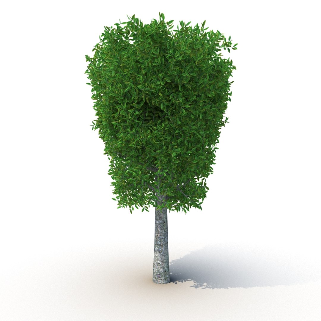 tree 3d obj