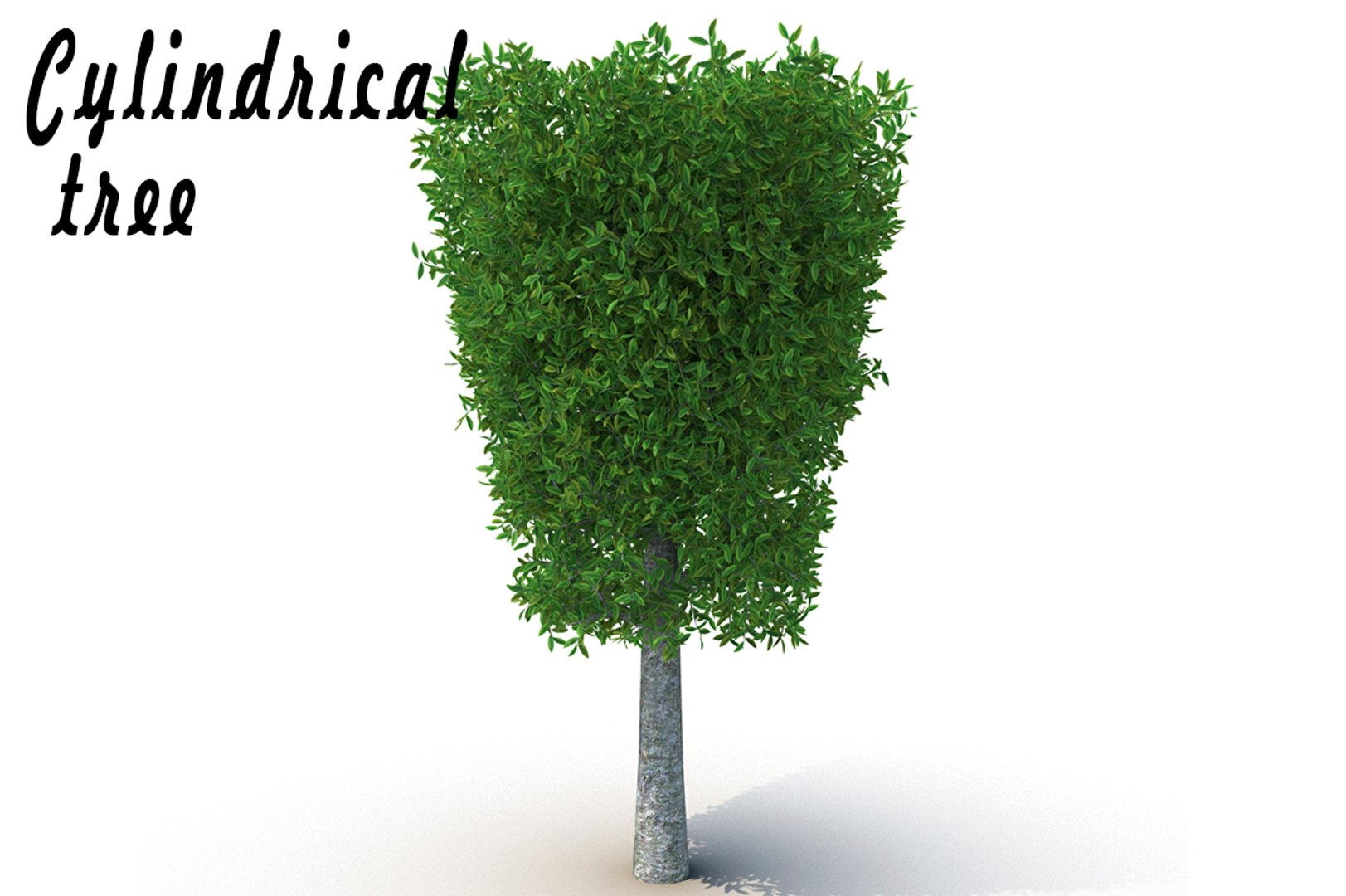 tree 3d obj