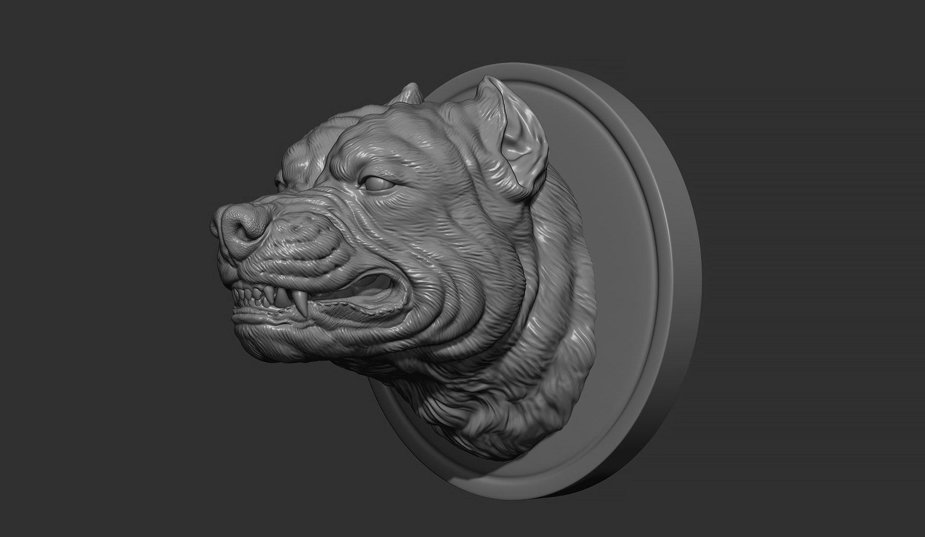3D Pitbull Angry Head - TurboSquid 1900508