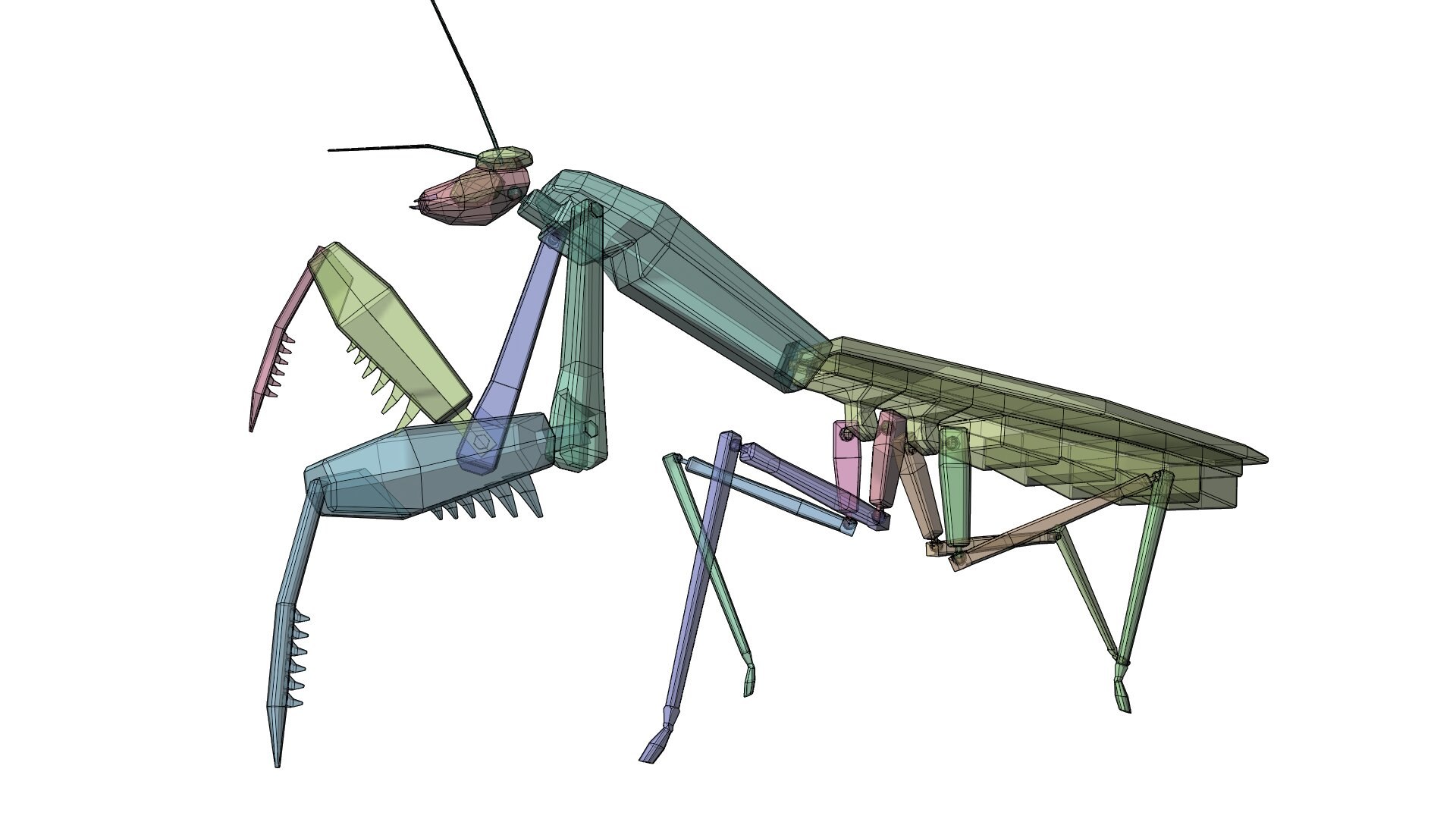 3D model praying mantis - TurboSquid 1711398