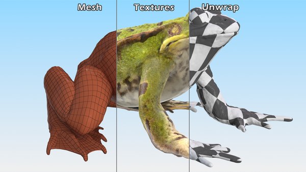 3D model Frog Rigged for Maya - TurboSquid 1716071