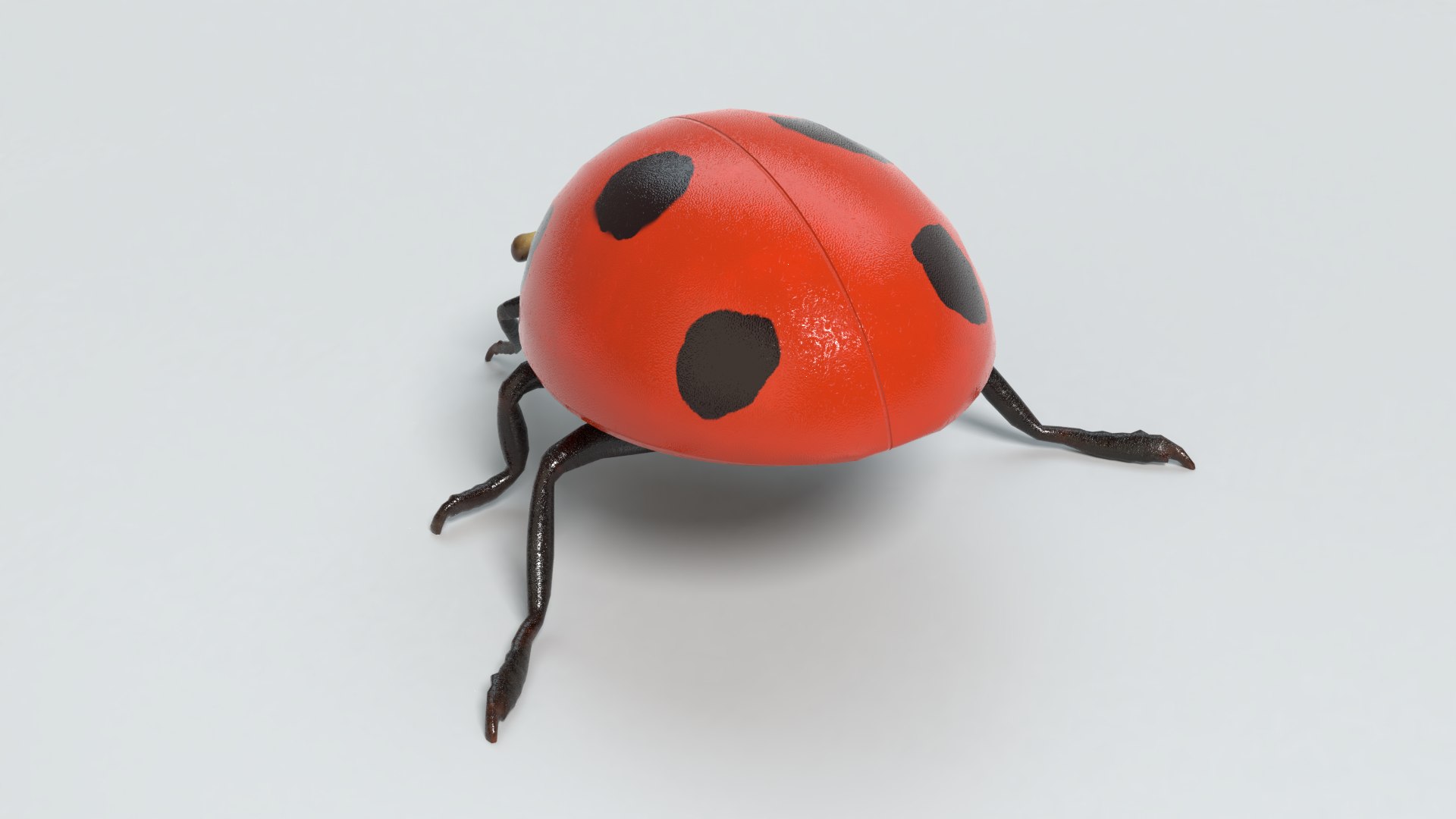 3D Ladybug Pbr - TurboSquid 1516386