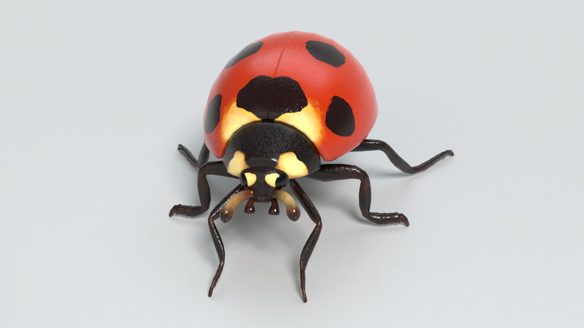 3D Ladybug Pbr - TurboSquid 1516386