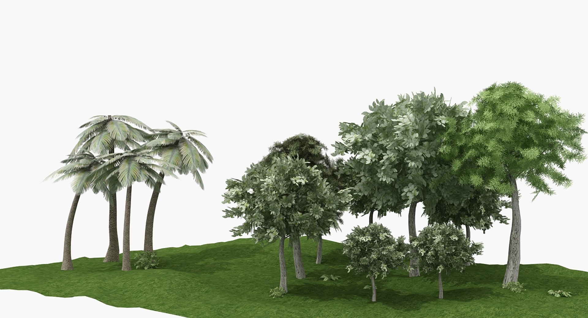 Palm Tree 3D Model - TurboSquid 1331606