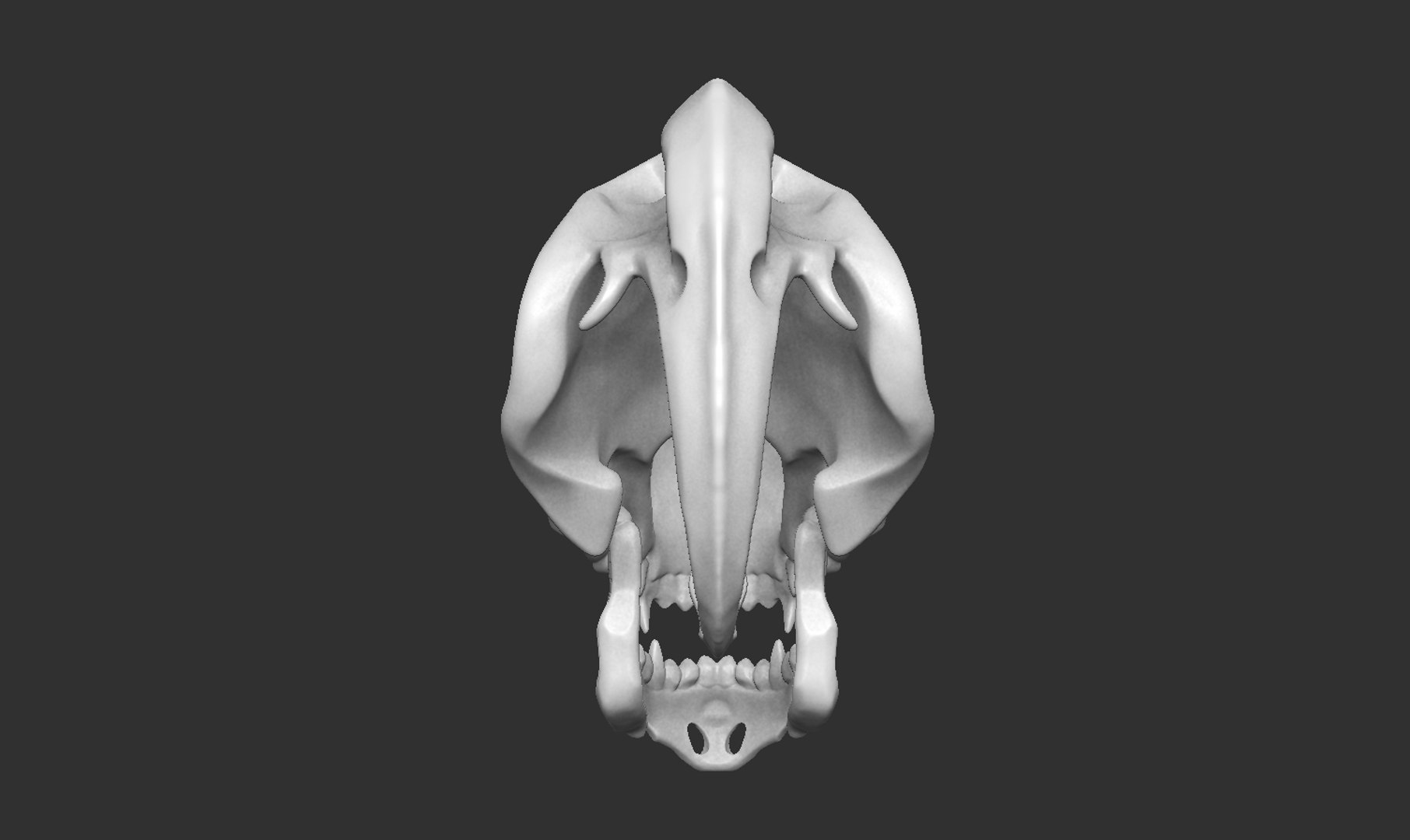 Alien Head Skull 3D - TurboSquid 1349229