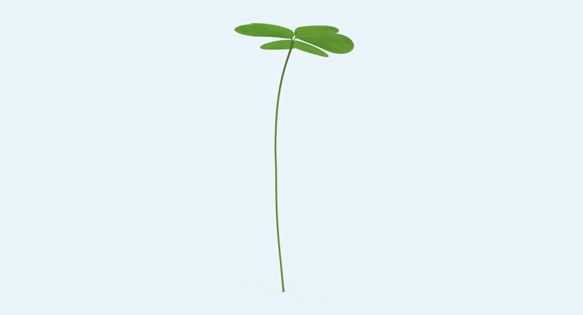 clover single standing 3d model