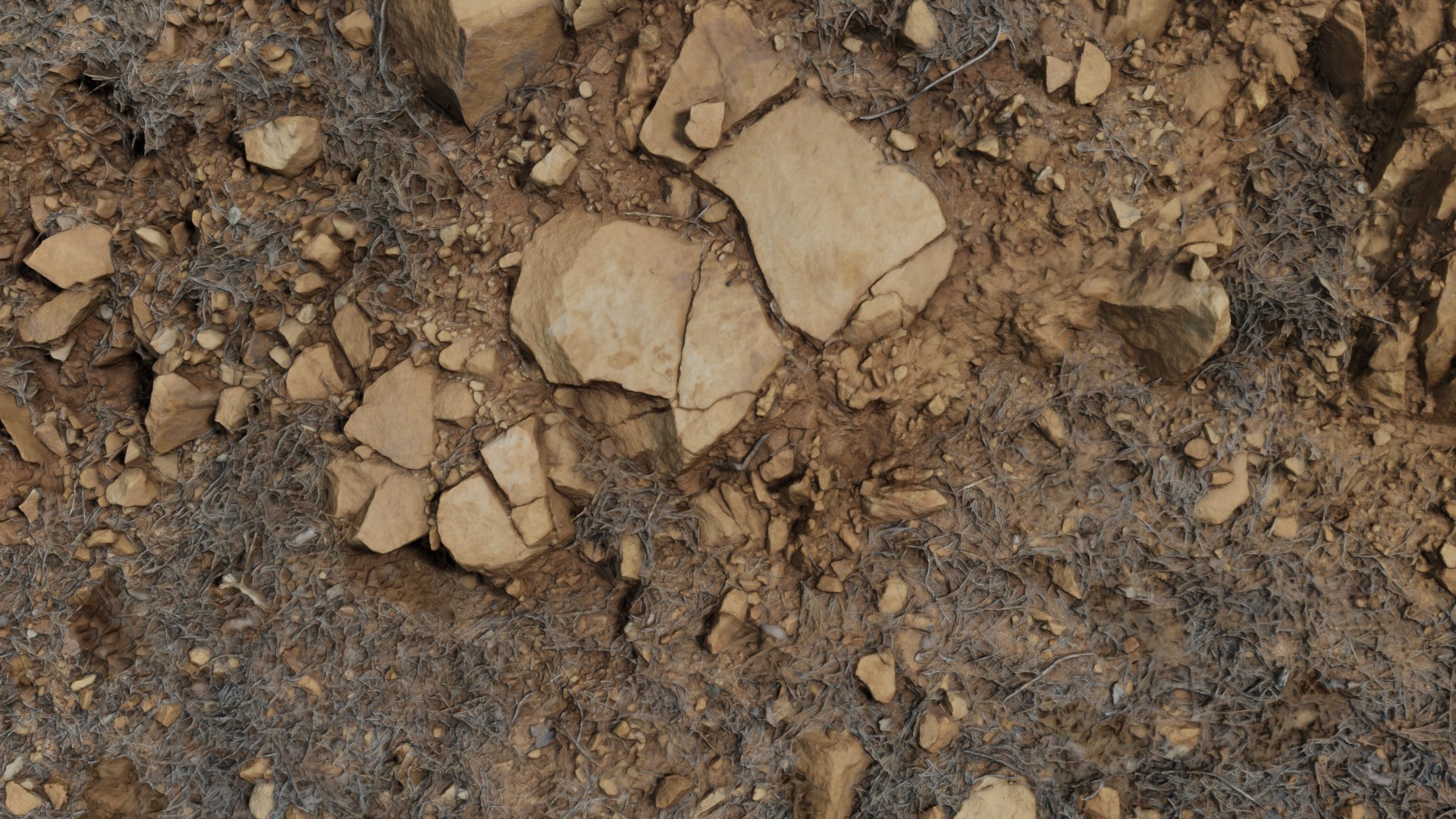 Ridge10 3D - TurboSquid 2228497