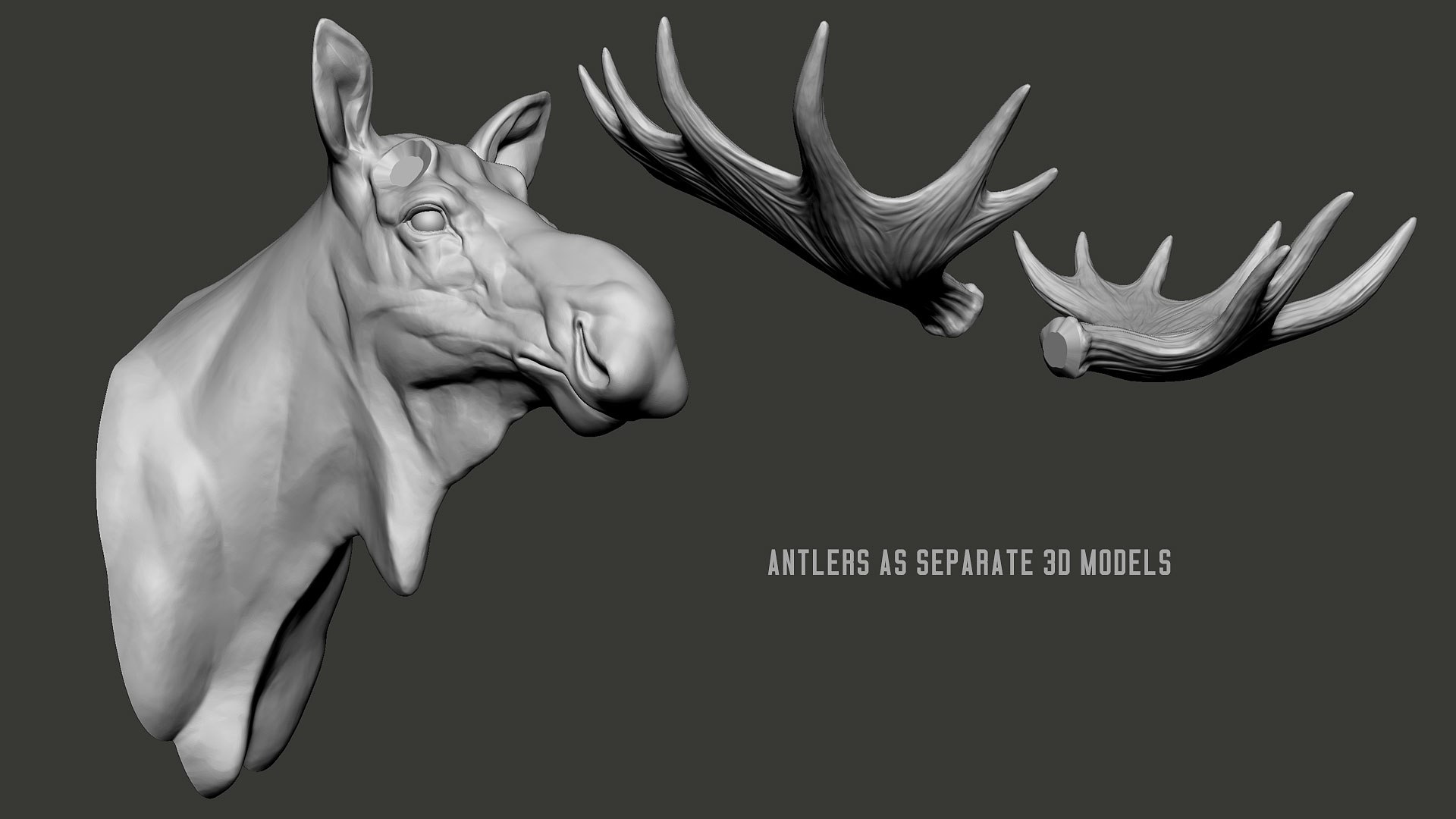 Moose Head Sculpture Antlers 3D Model - TurboSquid 1773559