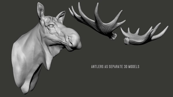 Moose Head Sculpture Antlers 3D model - TurboSquid 1773559