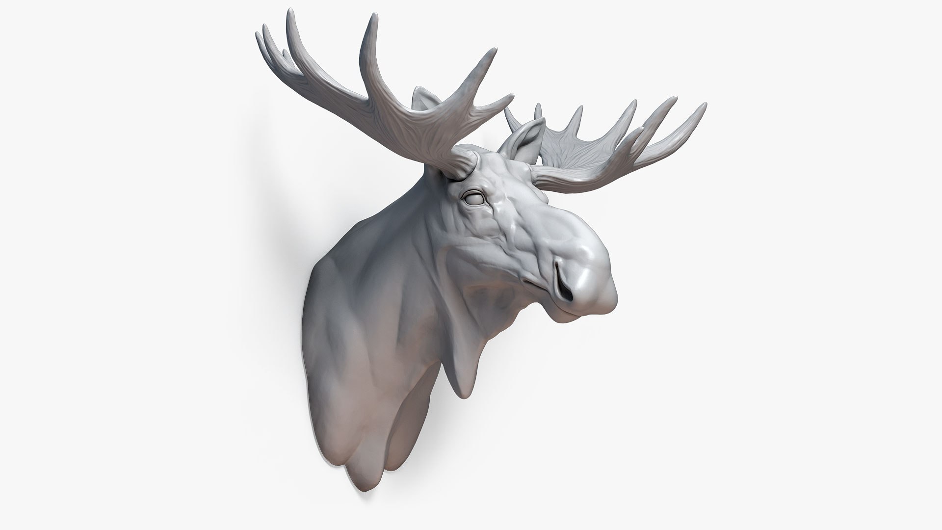 Moose Head Sculpture Antlers 3D model - TurboSquid 1773559